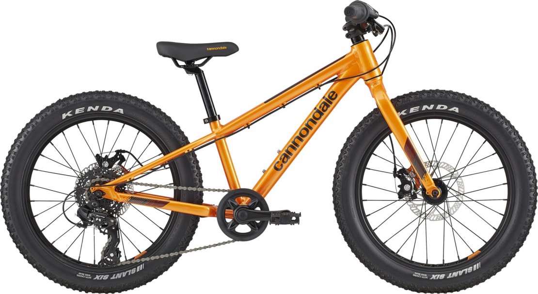 Cannondale 20+ Cujo 2020 Mountain Bike | Damian Harris Cycles | E-bike ...
